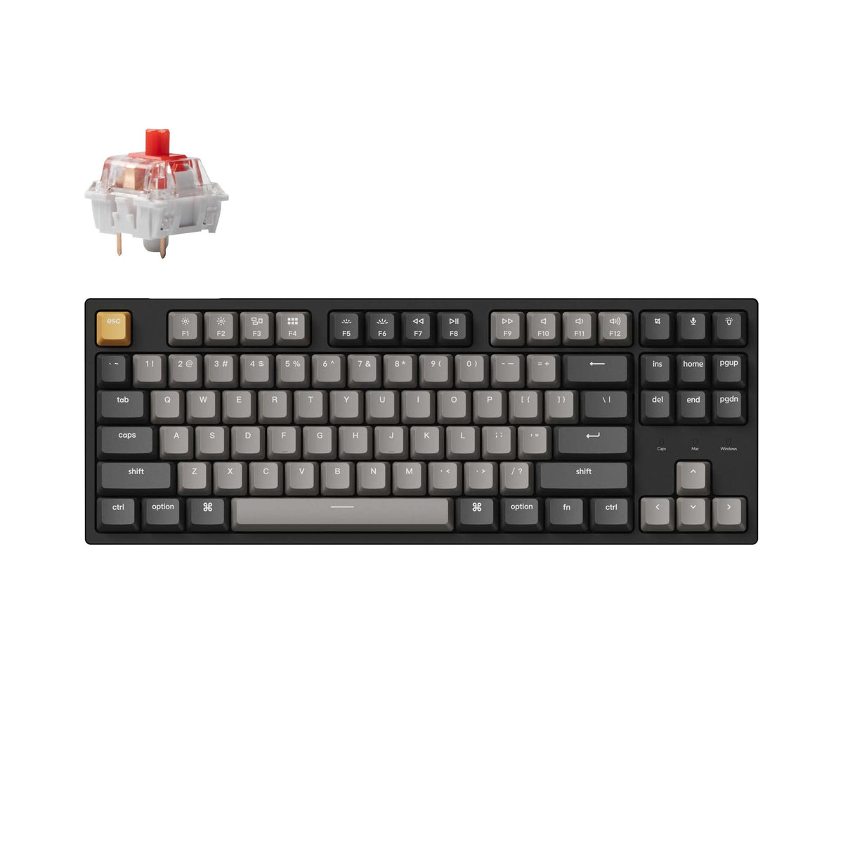 Keychron C Series Keyboard & S1 – Keychron Mexico