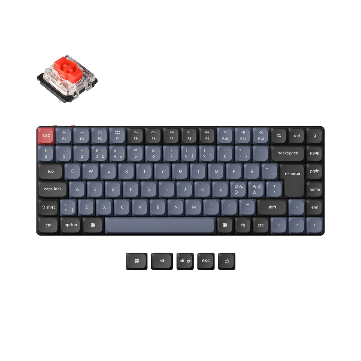 Spanish ISO Keyboards Collection – Keychron Mexico